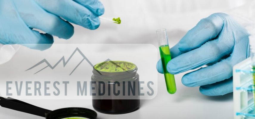 Calliditas Therapeutics Partner Everest Medicines Introduces Nefecon in ...